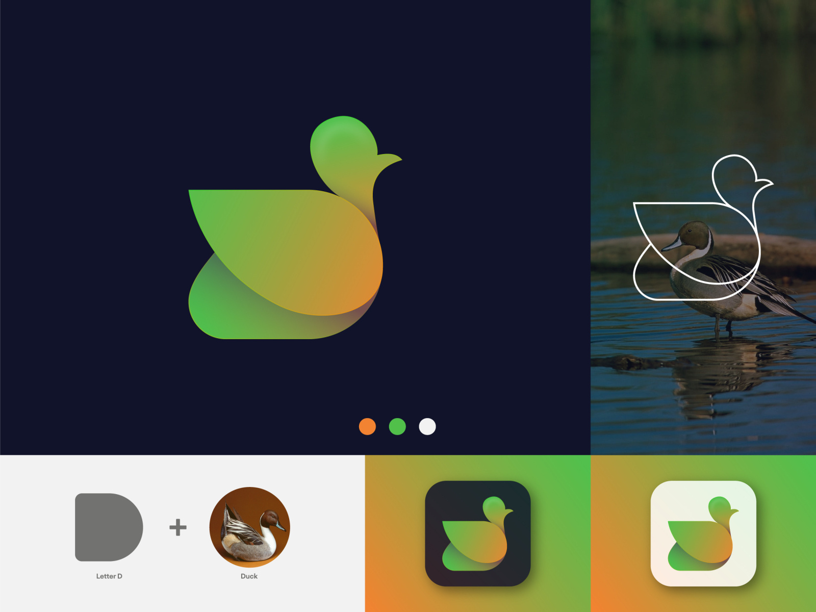Letter D + Duck Logo Design by Graphixio Studio on Dribbble