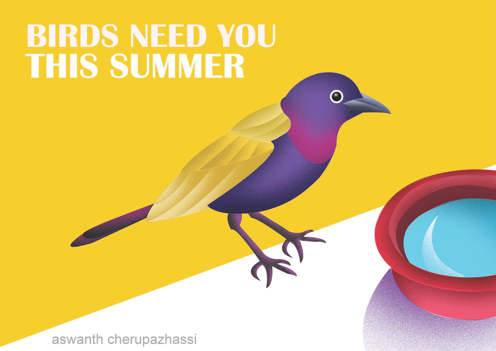 save bird in summer by aswanth a on Dribbble