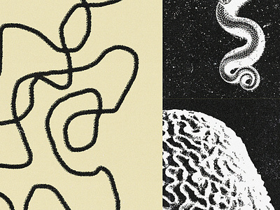 Nature Patterns: Chaos, Flow, Meanders by garretbruh on Dribbble