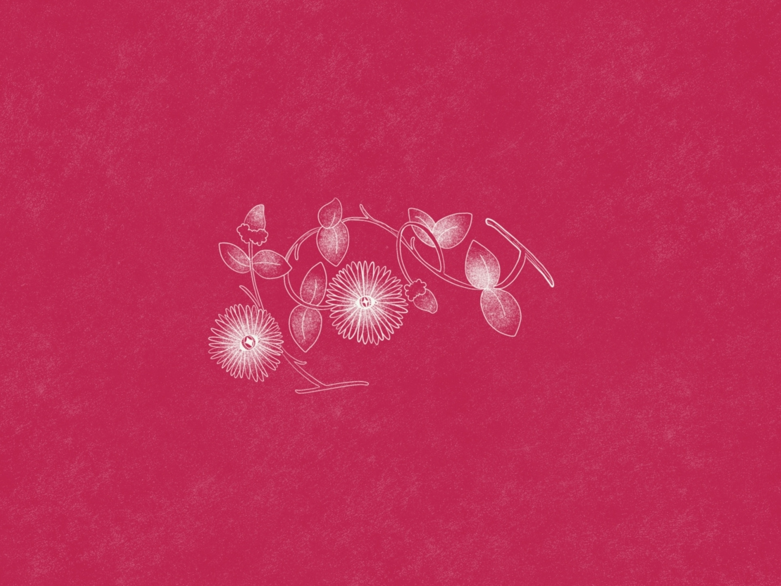 Blooming 👀 by Christine McCarty on Dribbble