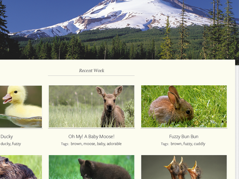 Baby Animal Placeholders by Nick Snyder on Dribbble