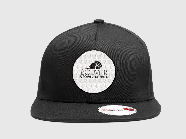 Dribbble - cap_concept_01.jpg by Germaine Webb