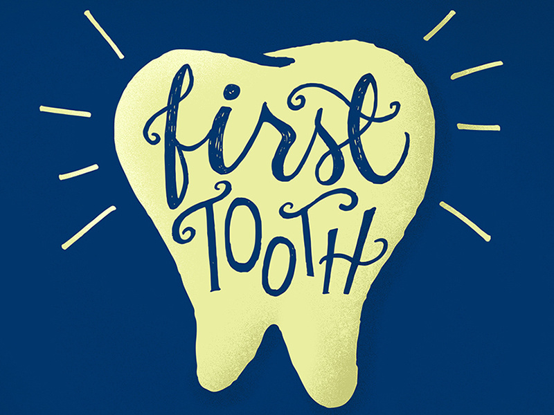 First Tooth by Claudia Mir on Dribbble