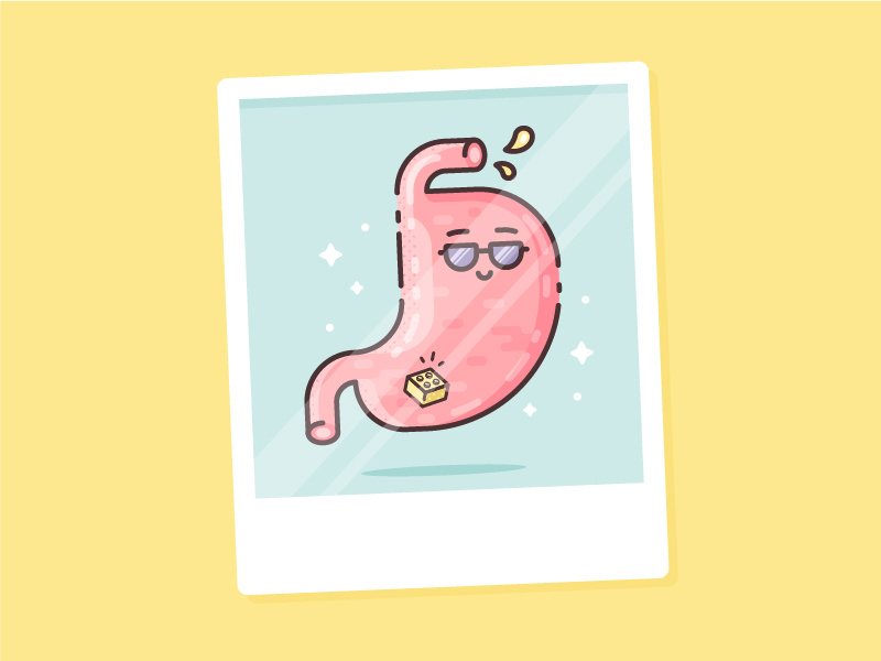 Cool Stomach + Lego by Oleg Levin on Dribbble