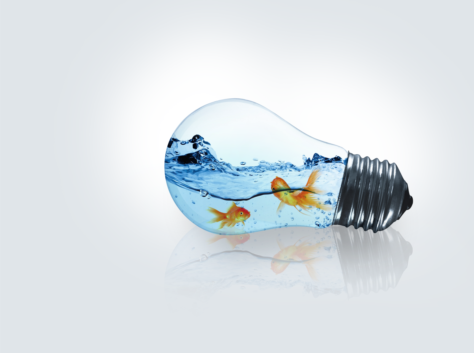 Fish in bulb by milenaulman on Dribbble