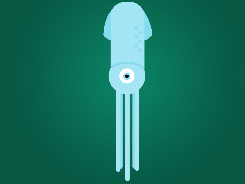 Squidme by Chris on Dribbble