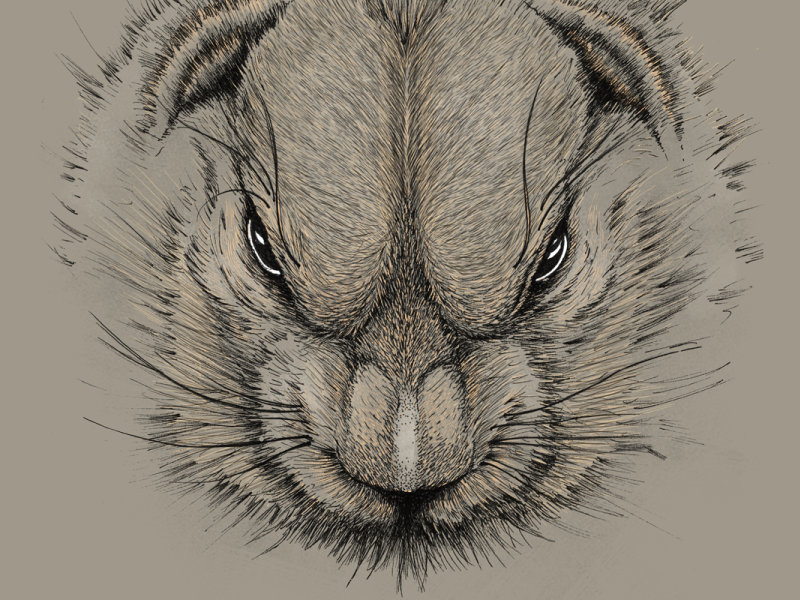 Ovidiu Bejan | Dribbble