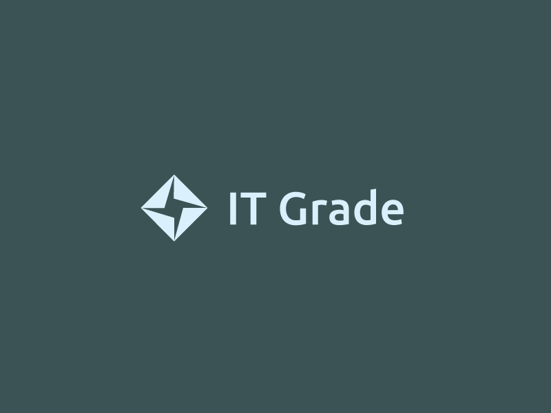 IT Grade/ Concept by Ivan Shaikhislamov on Dribbble