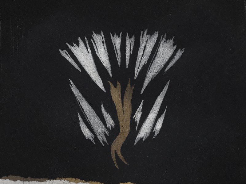 Bite by mw stands for on Dribbble