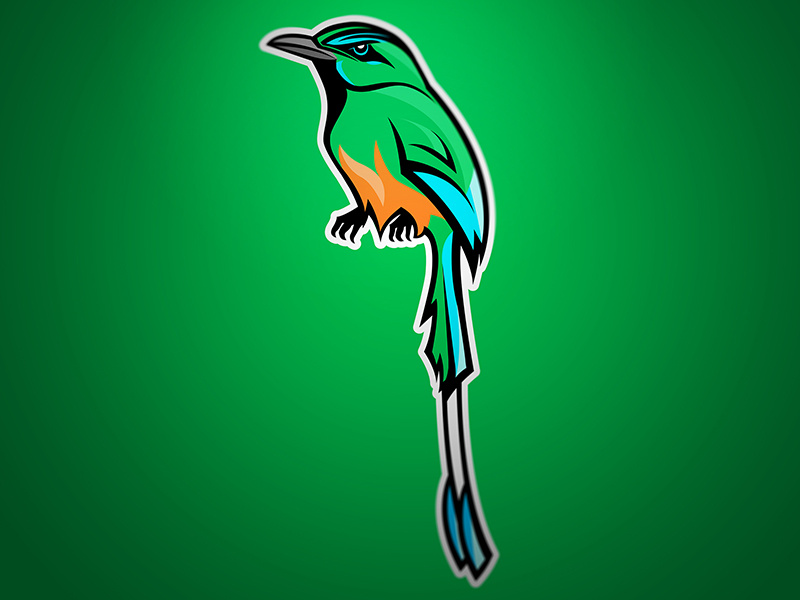 Guardabarrancos by Daniel Alfaro on Dribbble