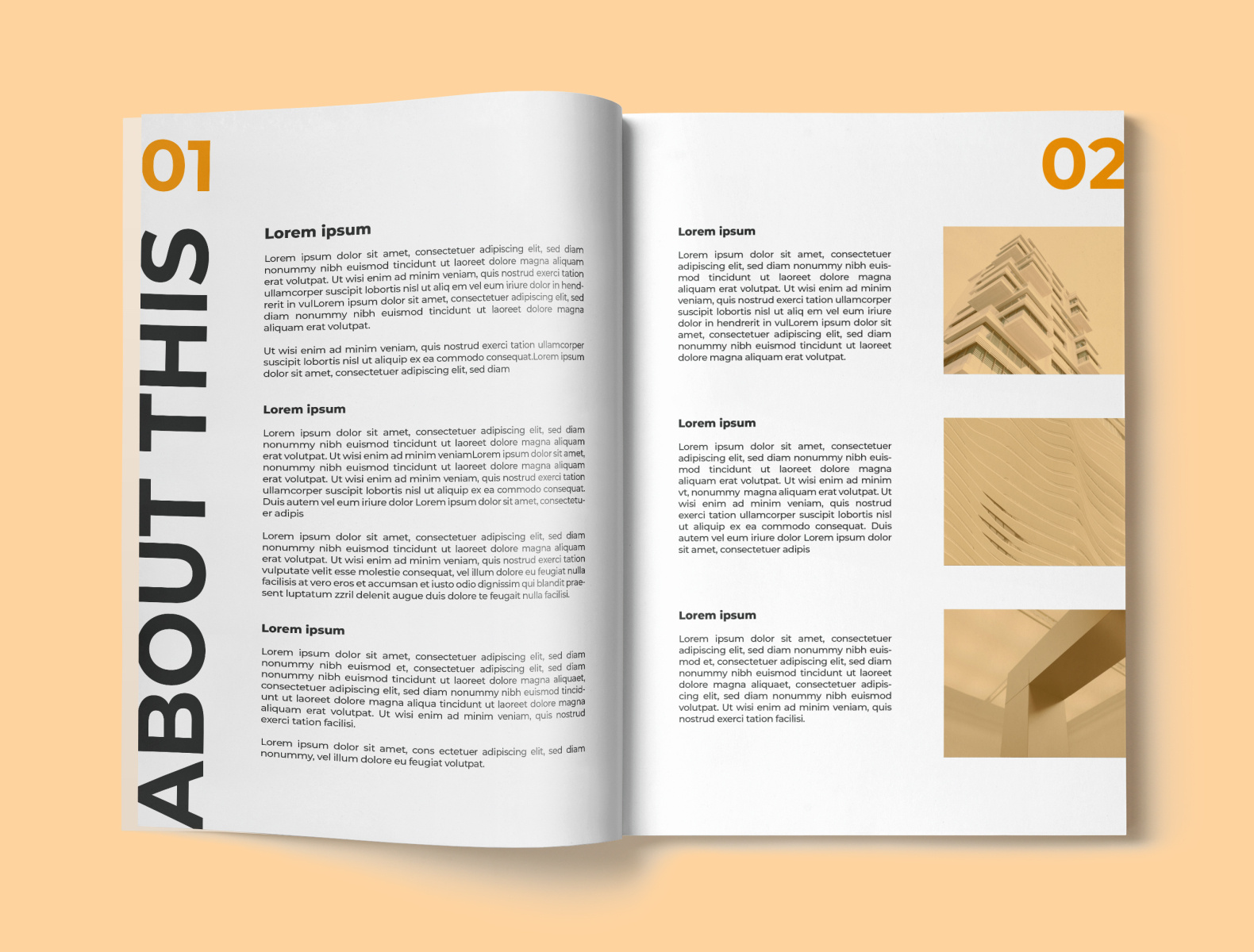 Magazine Design by Fabian Krotzer on Dribbble