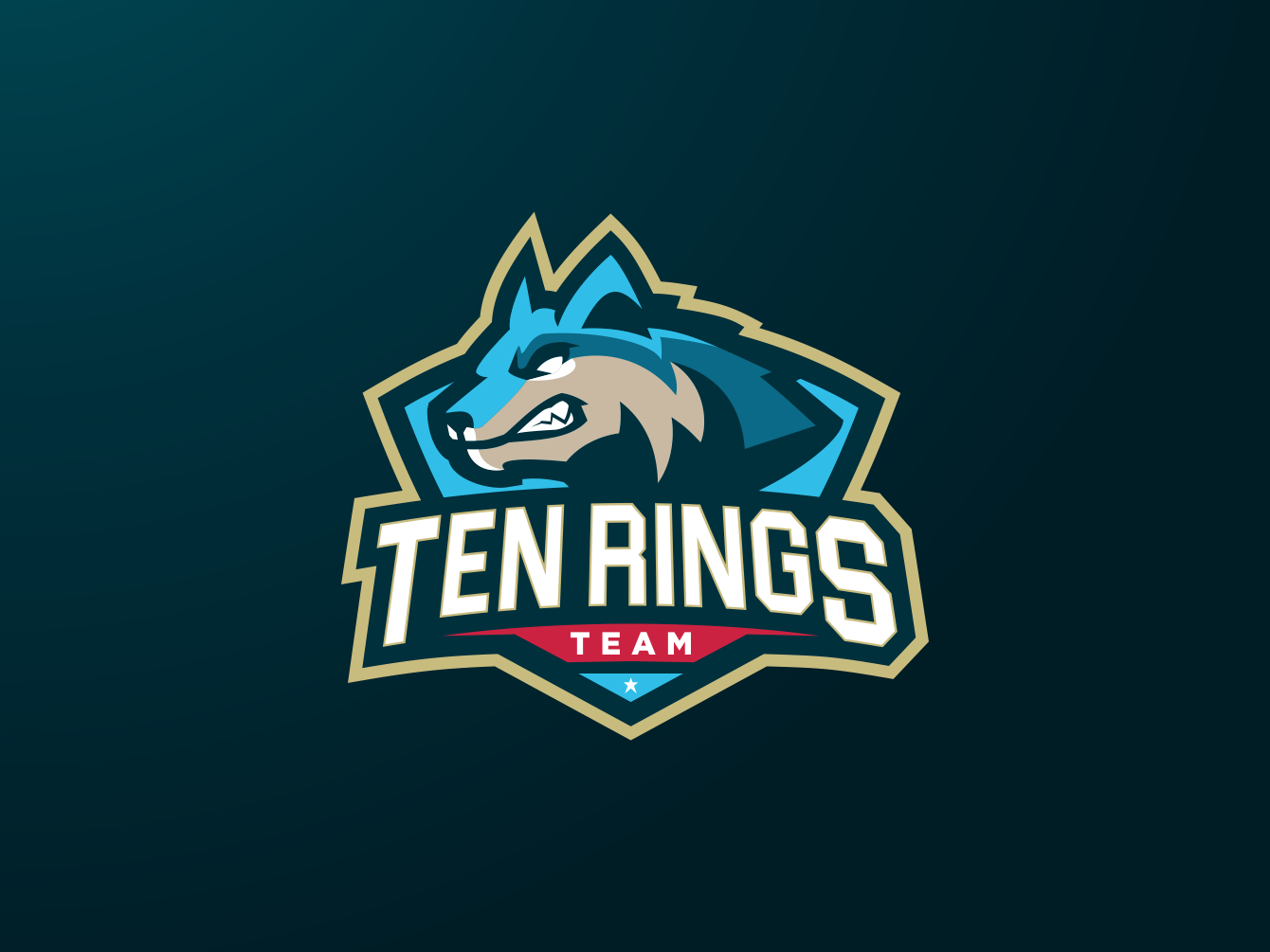 Ten Rings Team by Logo Supra on Dribbble