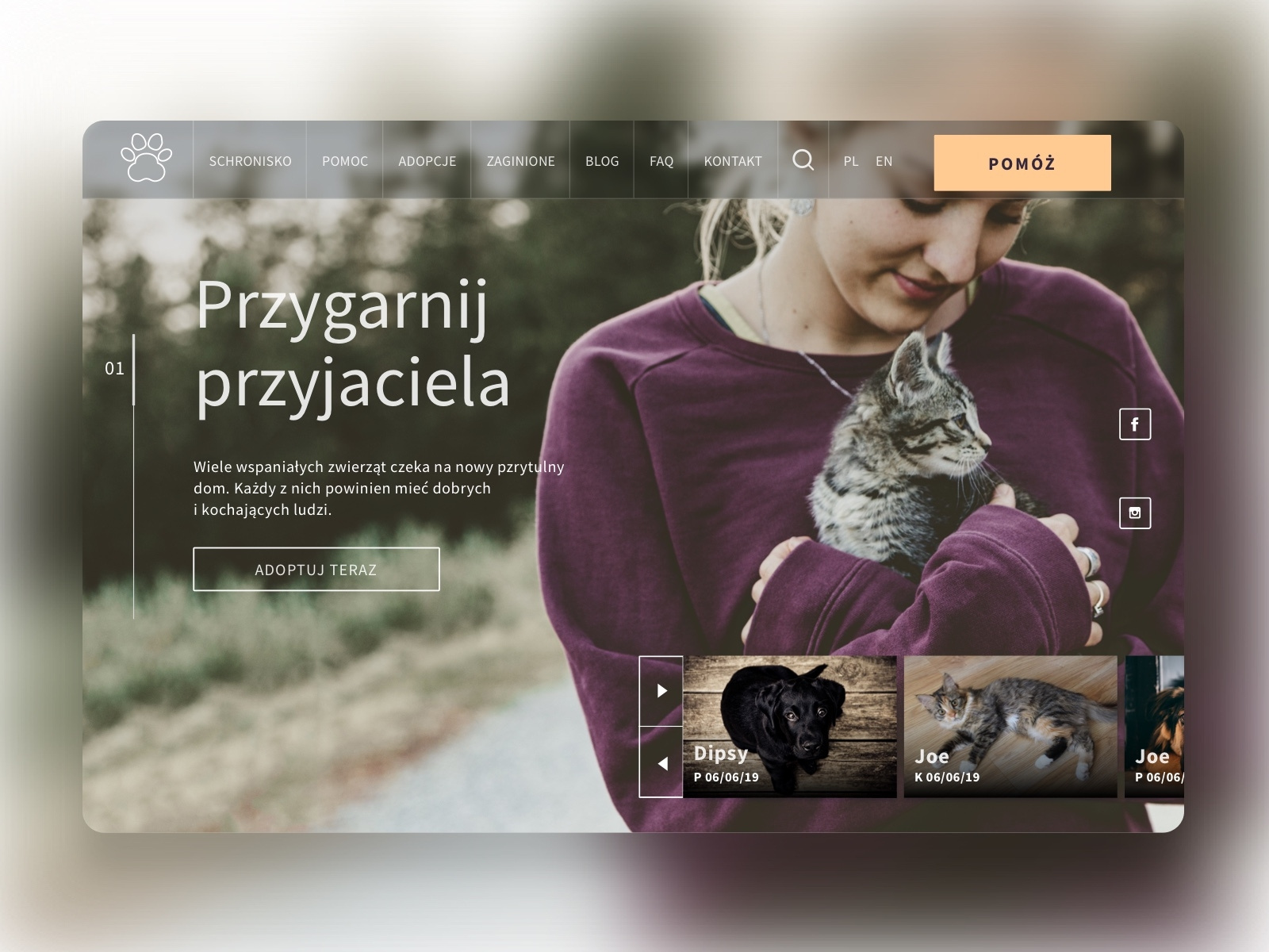 Animal shelter website concept by Larysa Kuchko on Dribbble
