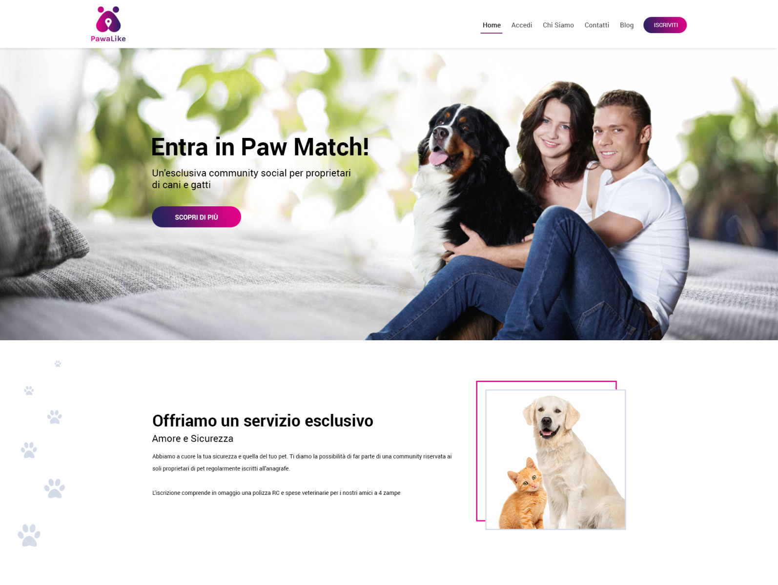 paw like by Mudassar Hussain on Dribbble