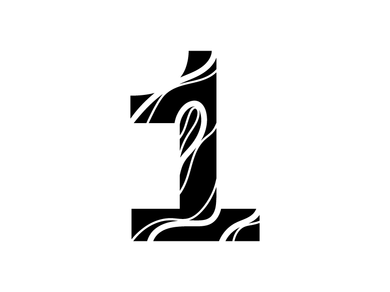 1 by Sam Bunny on Dribbble