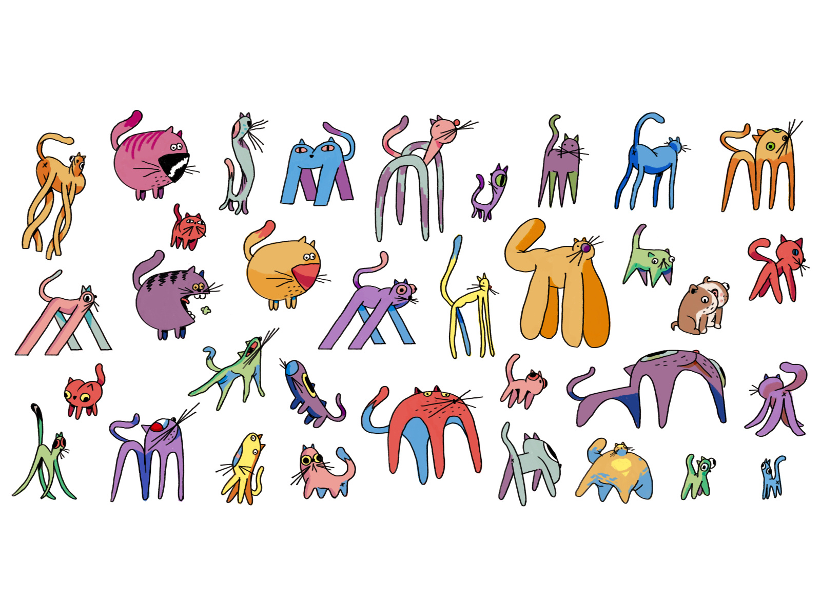 Cats by Noam Sussman on Dribbble