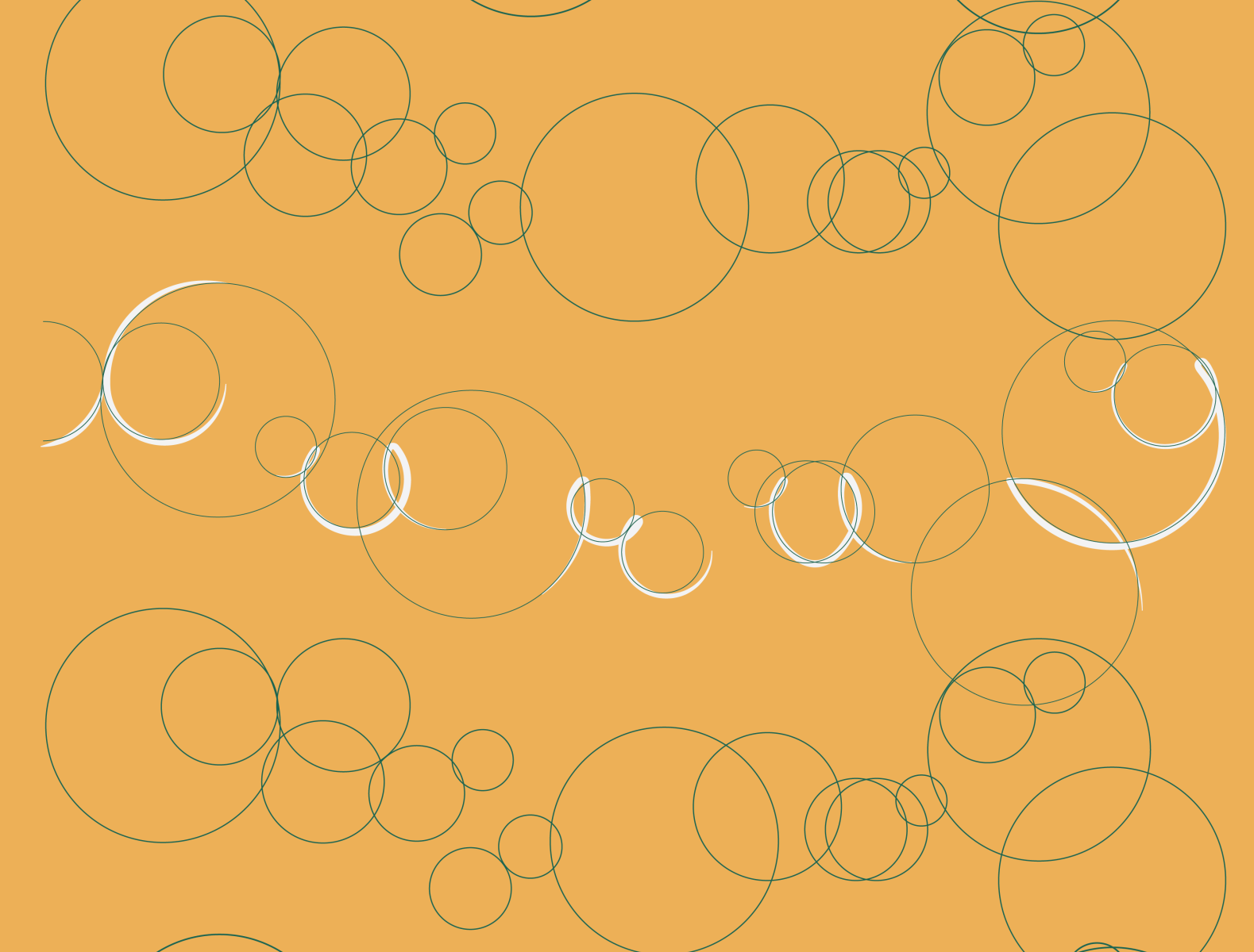 Curvy by Sai Kelkar on Dribbble