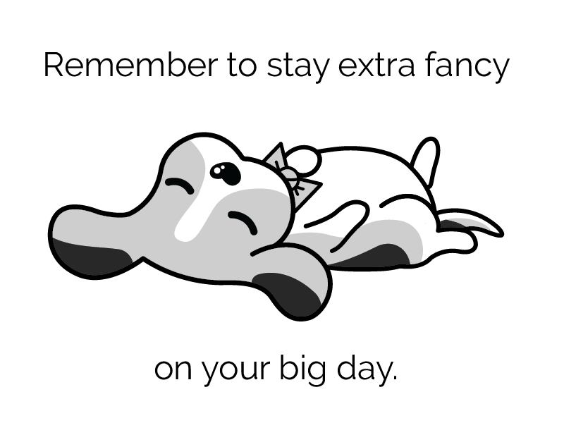 Fancy Day by Natalia on Dribbble