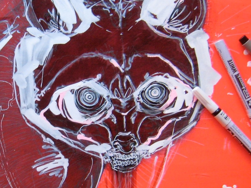 Raccoon by Chris Nania on Dribbble