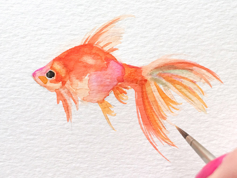 Watercolor Fish by Michelle Mospens on Dribbble