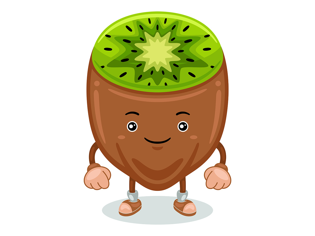 Kiwi Character Vector by MEDZ on Dribbble