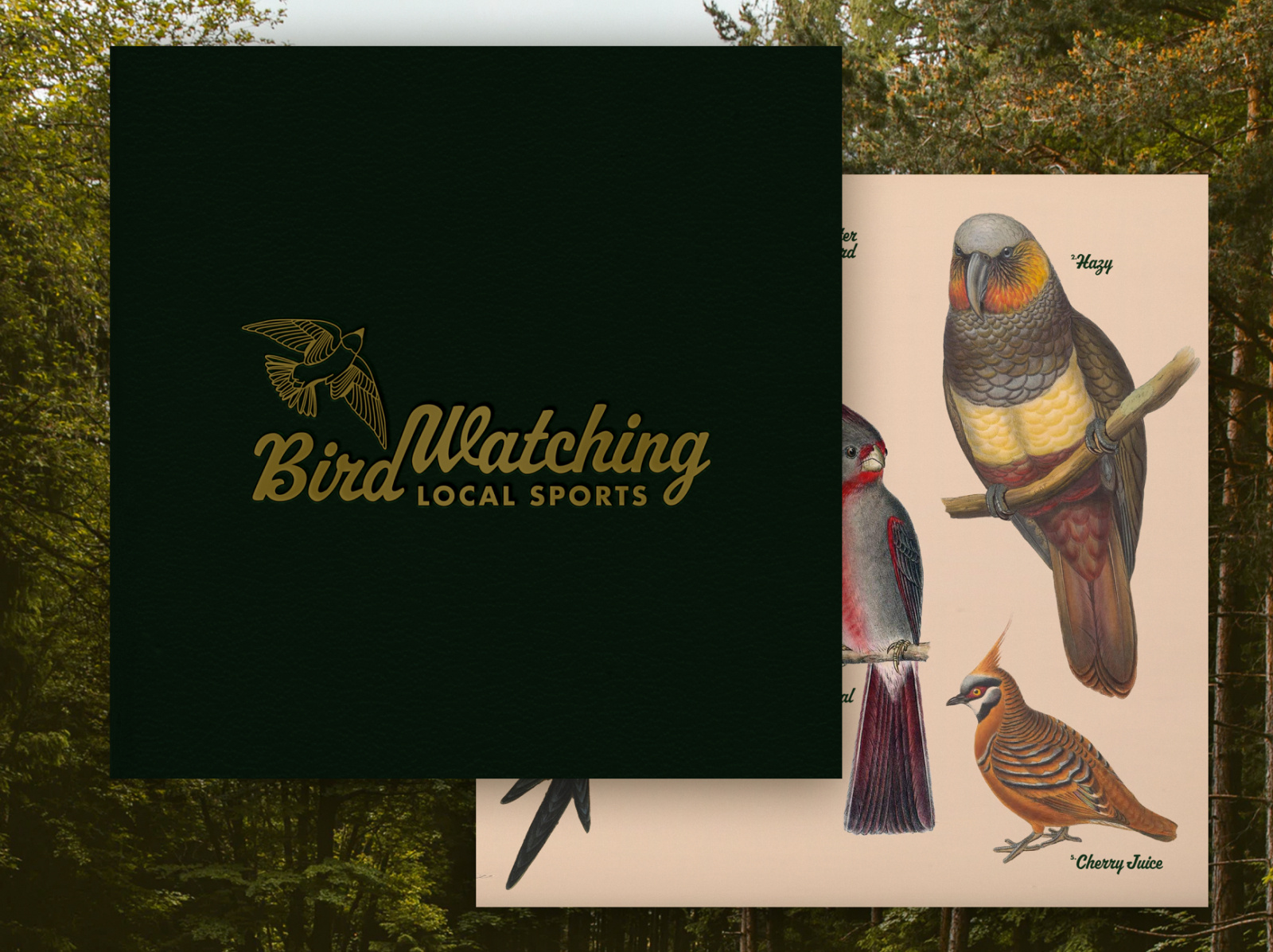 Local Sports — Birdwatching by Paul R. Novak on Dribbble