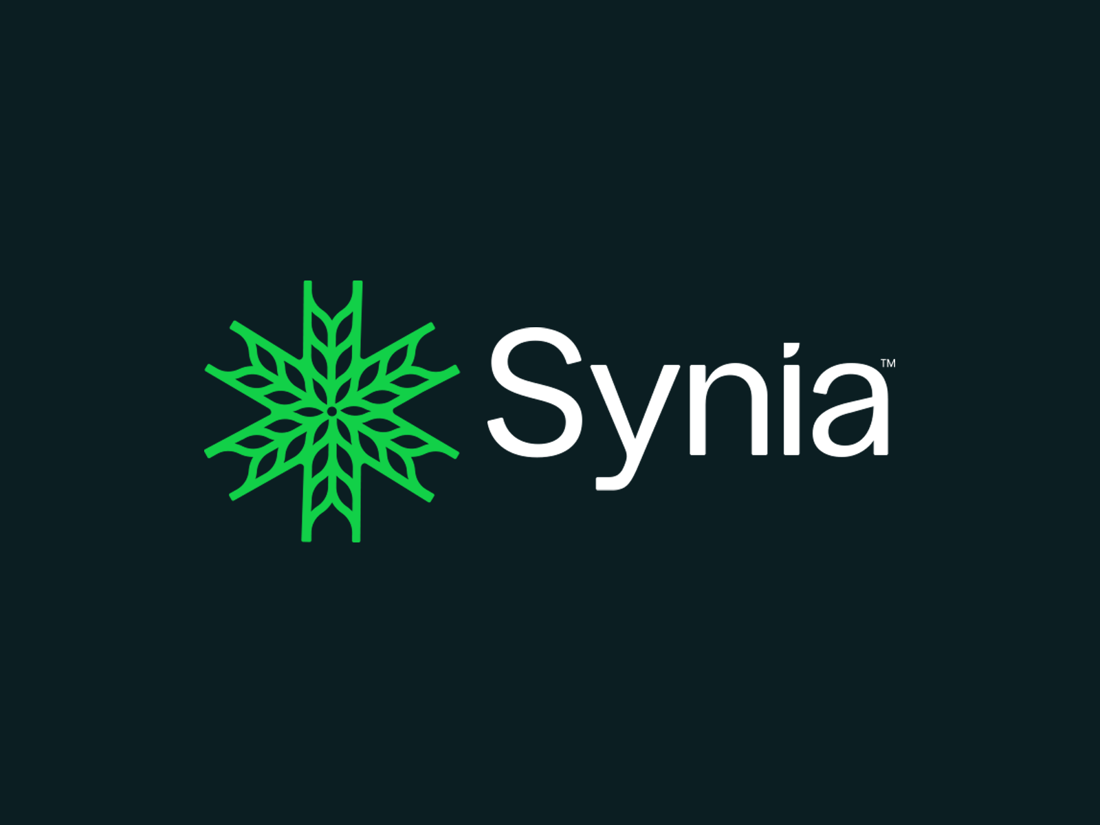Synia by BYAMINE® on Dribbble