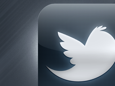 Twitter Replacement Icon by Moeed Mohammad on Dribbble