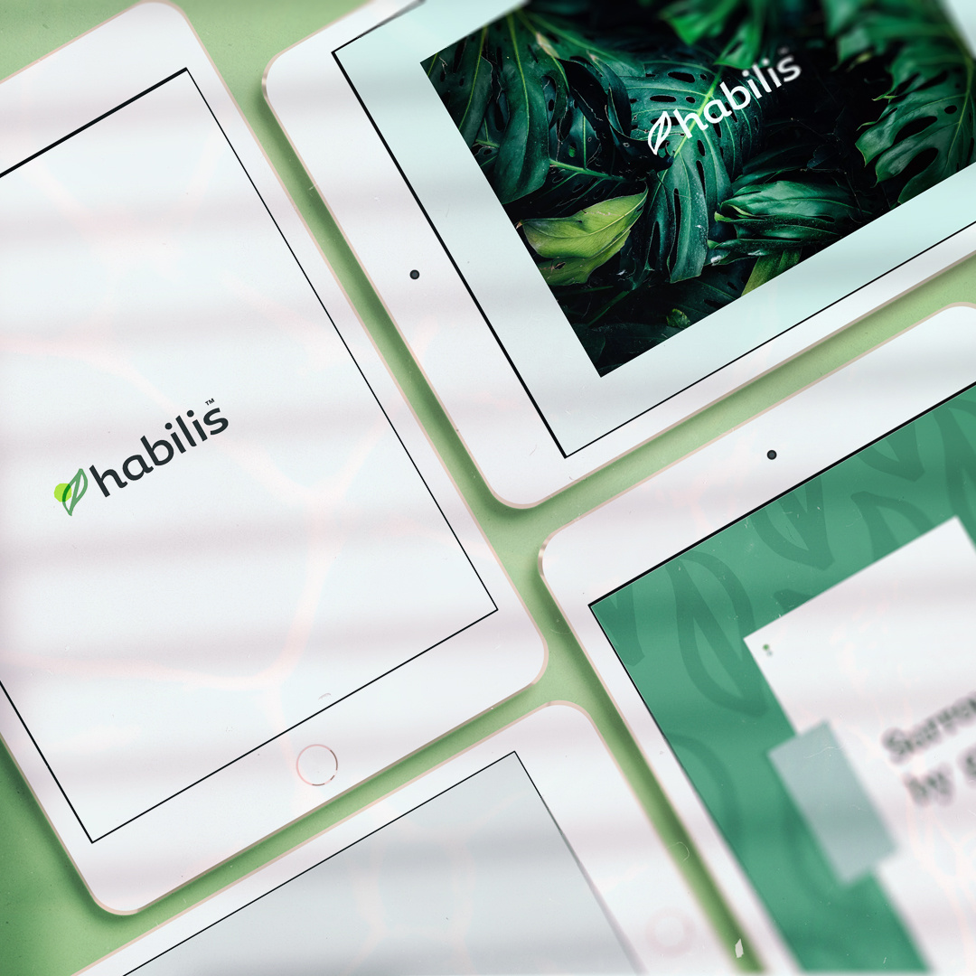 Dribbble - habilis_mock.jpg by Paykhan