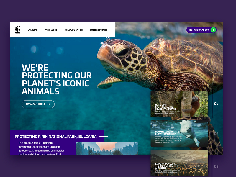 WWF Website Concept by Ashley McMahon on Dribbble