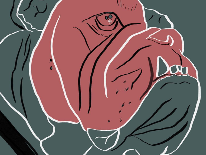 GOOD BOY by Caitlyn Edwards on Dribbble