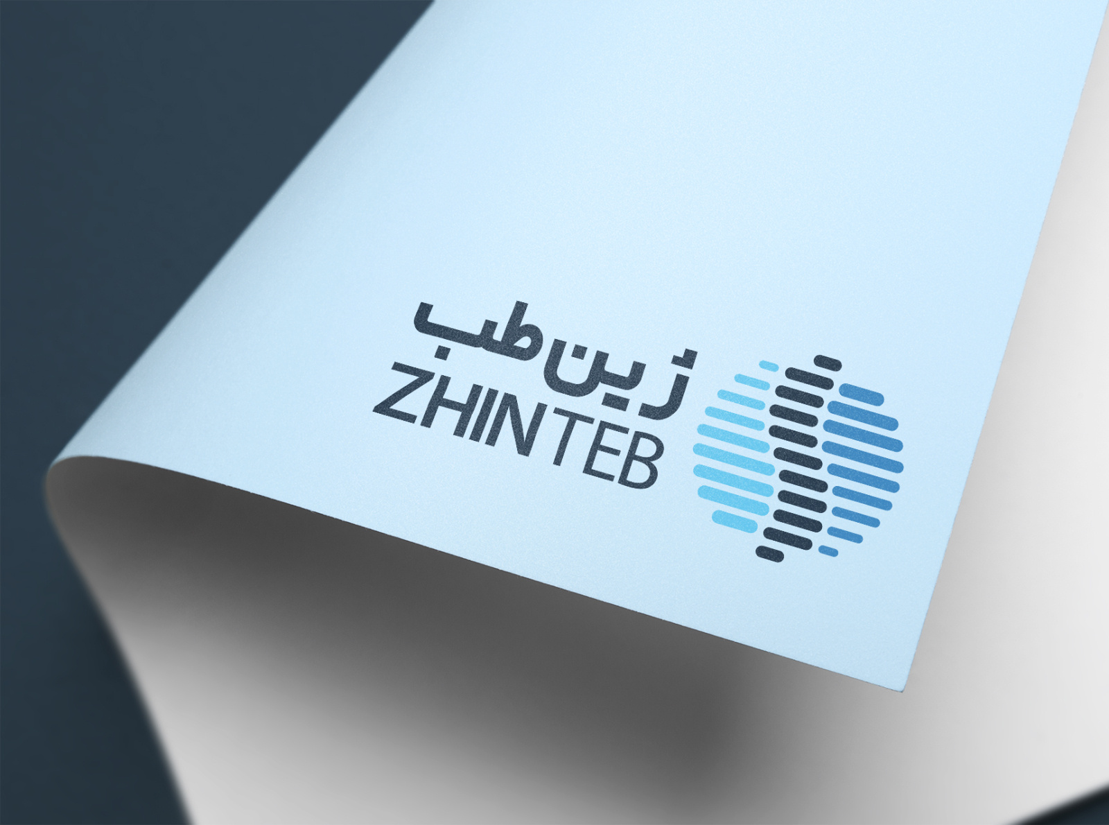 Zhinteb.com Logo design by Sajad Parvaneh on Dribbble
