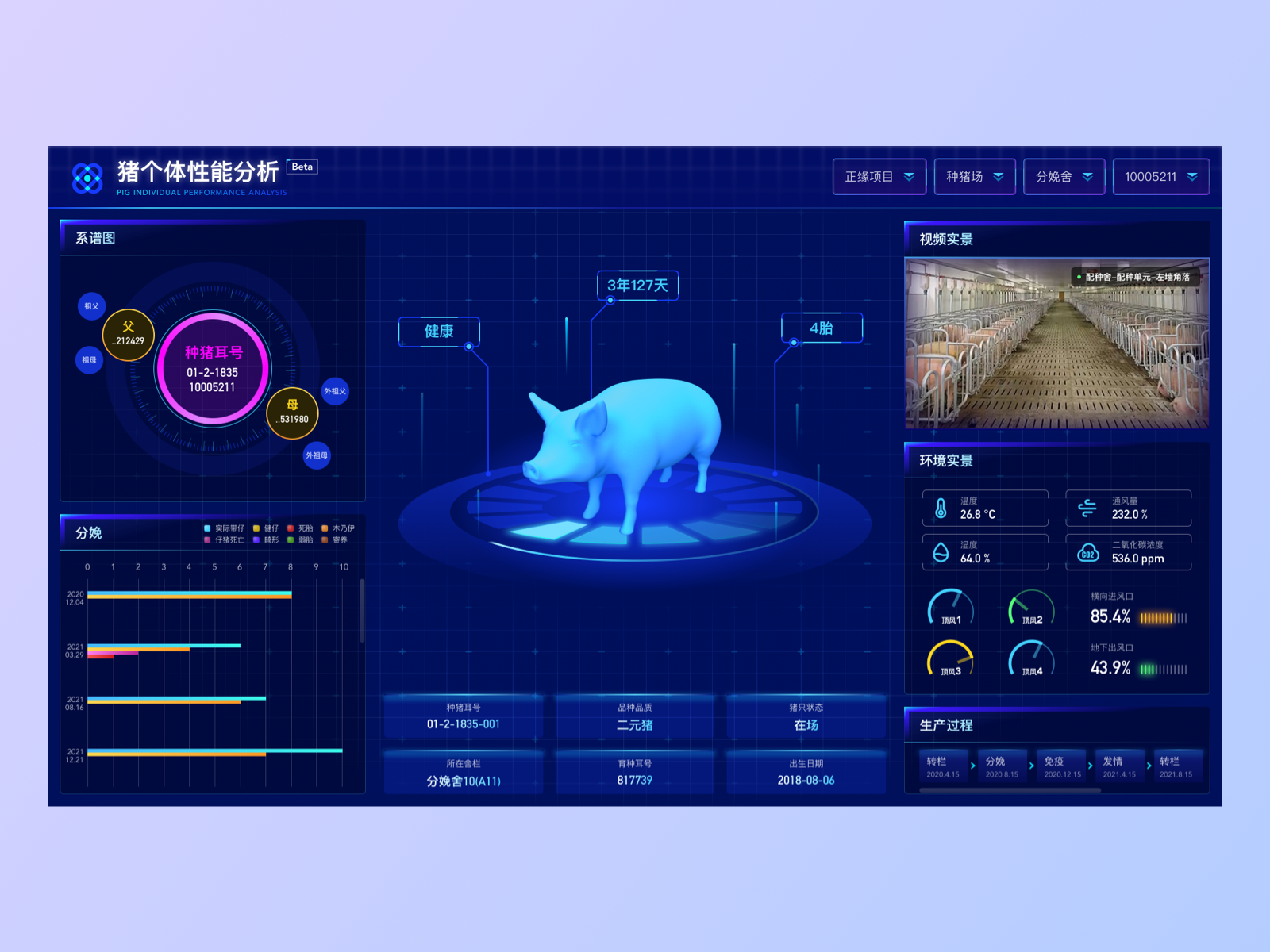 Pig Intelligence Analysis by 明 on Dribbble