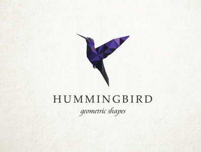 Hummingbird Geometric shape logo by Istiak Ahmed on Dribbble