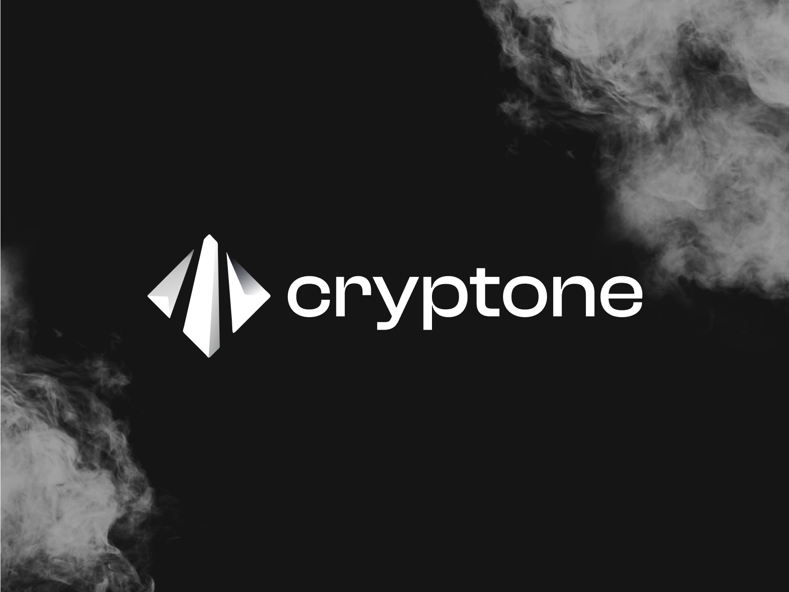 Cryptone | Crypto service naming and logo design by Marina Zakharova ...