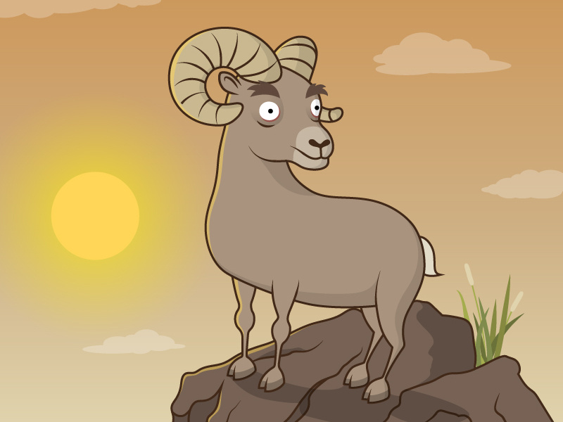 Bighorn sheep by Daniel on Dribbble