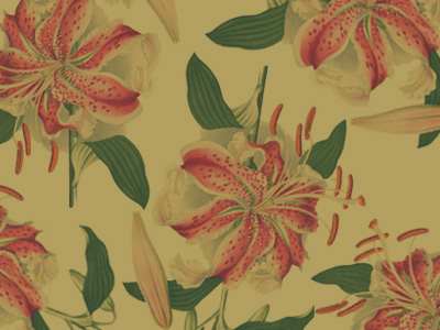 Florals by Charlie Mertens on Dribbble