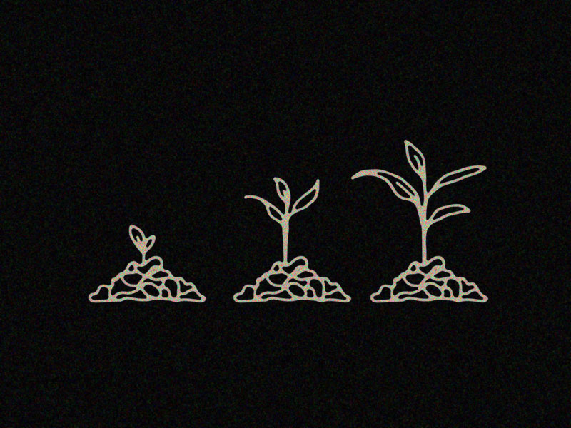 Growth by Charlie Mertens on Dribbble
