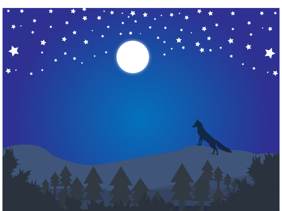 Fox Night by aLI Raza on Dribbble