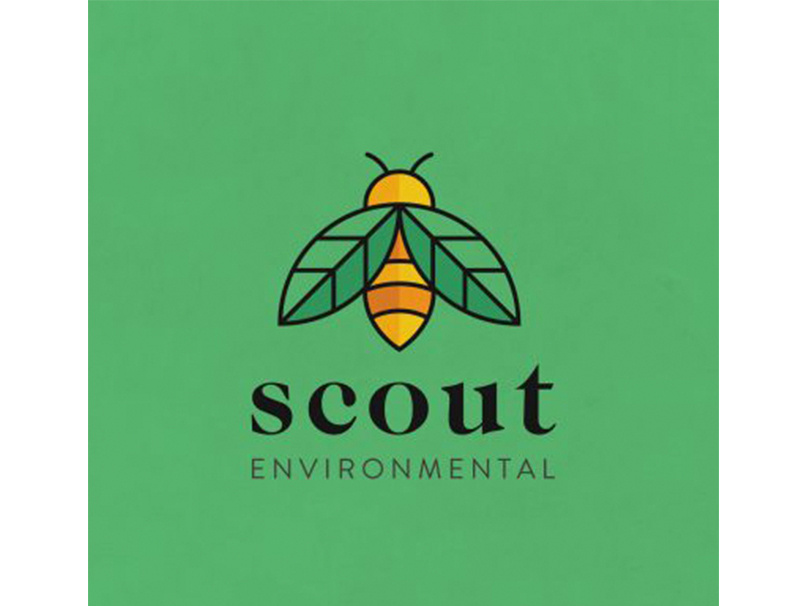 Scout Environmental by A Nerd's World on Dribbble