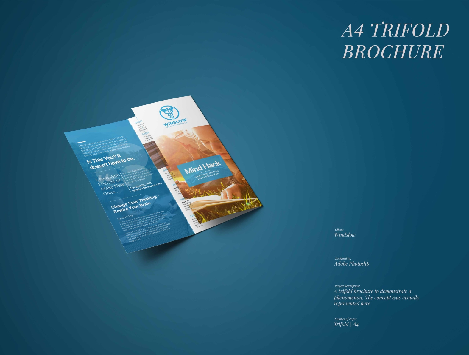 DR SKYE TRIFOLD MOCKUP 5 by Ikulayo Charles on Dribbble