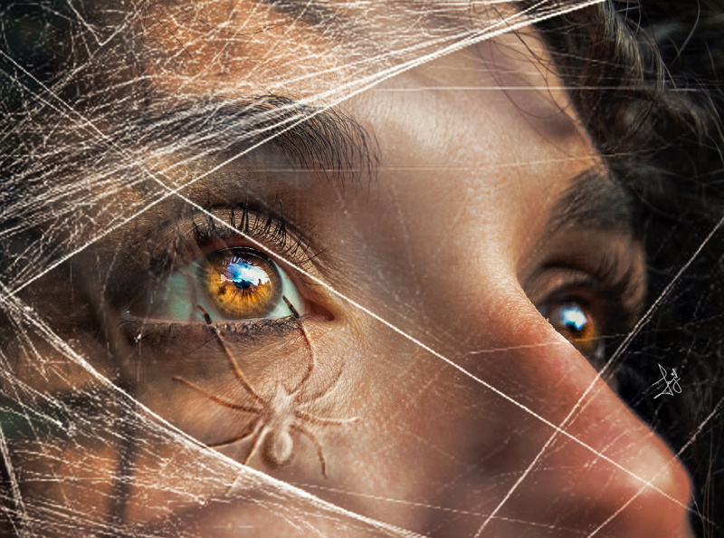 Trending Spider Inside || Photo Manipulation in Photoshop || Spe by ...