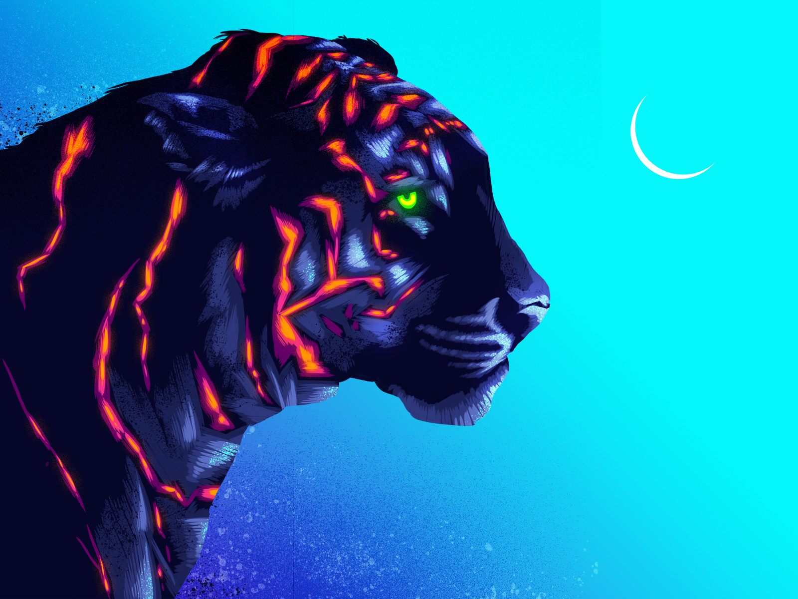 Inverted Tiger by James White on Dribbble