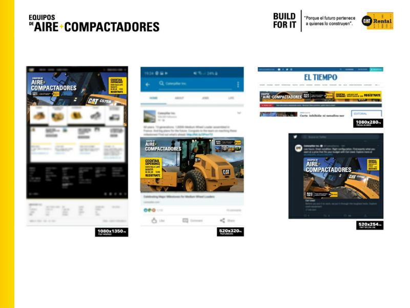 CAT (Job apply) by Andres Forero on Dribbble