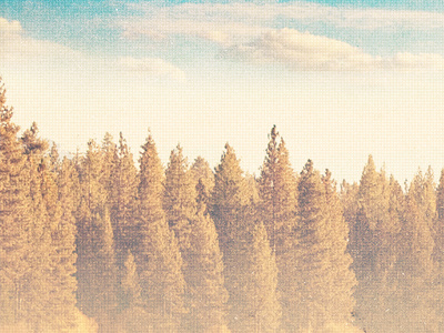 Background Work by The Forefathers Group on Dribbble