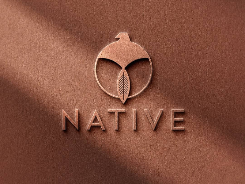 Native Logo by Murat Boyraz on Dribbble