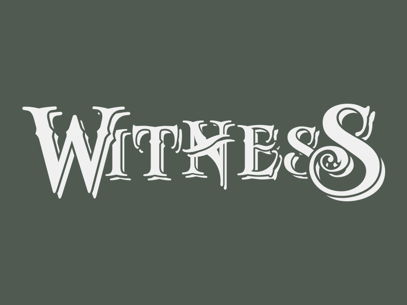 Witness Logo by Ian Baldwin on Dribbble