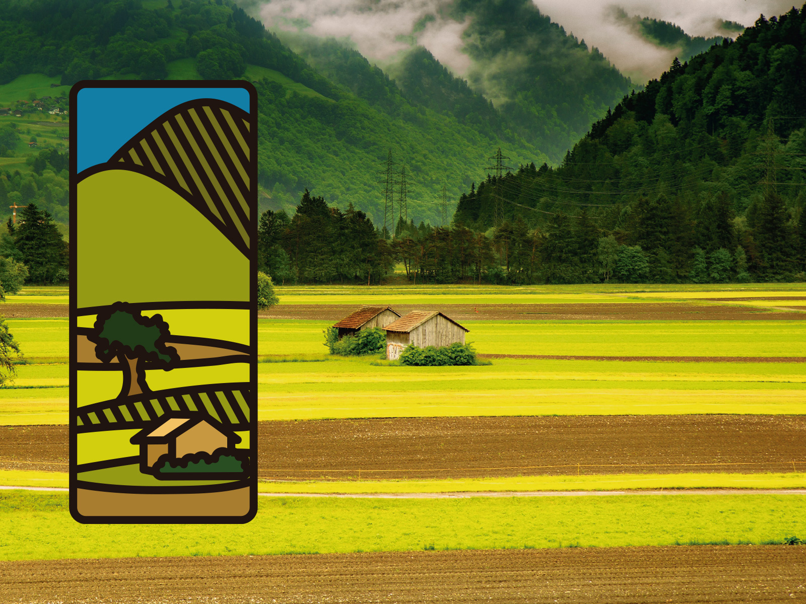 Prairies Thick Lines by Estudio Canivete on Dribbble