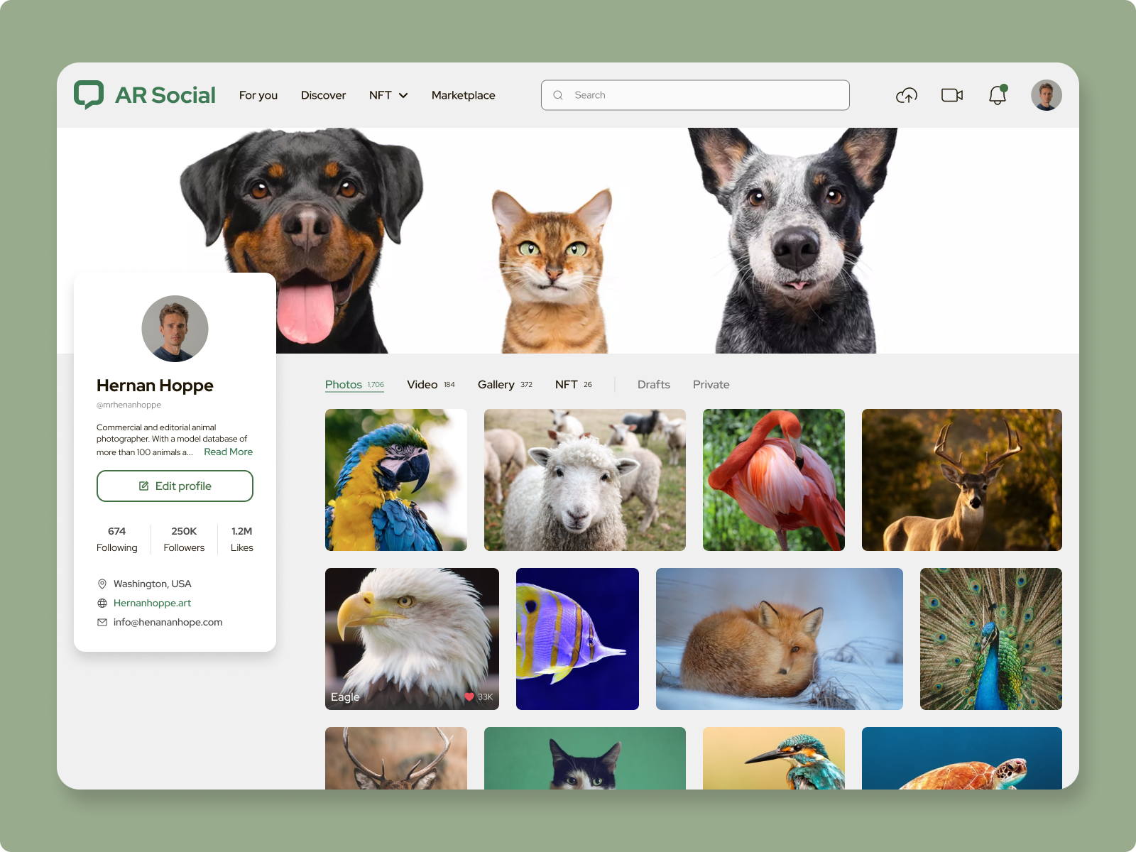 👤 User Profile Concept by Alex Ruiz on Dribbble
