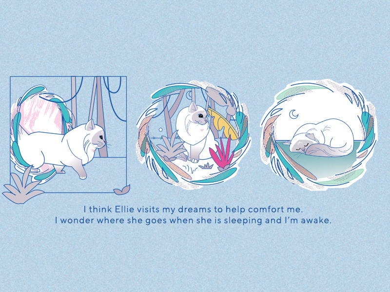 Astral Cat Part 3 by Cassandra Mazur on Dribbble